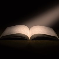 Blog – Elizabeth M Cox